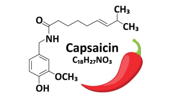 What Is Capsaicin? The Natural Heat Behind Hot Peppers